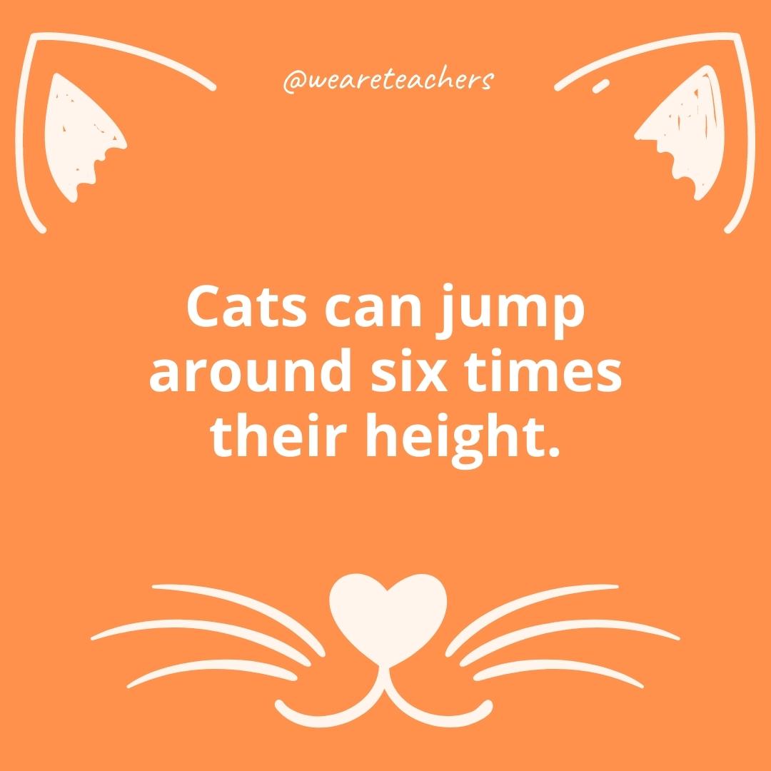 25 Cat Facts for Kids That Are Purrrfect for All Ages