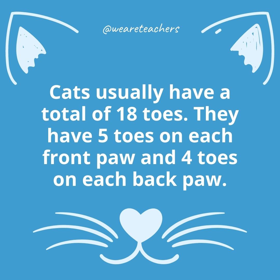 25 Cat Facts for Kids That Are Purrrfect for All Ages