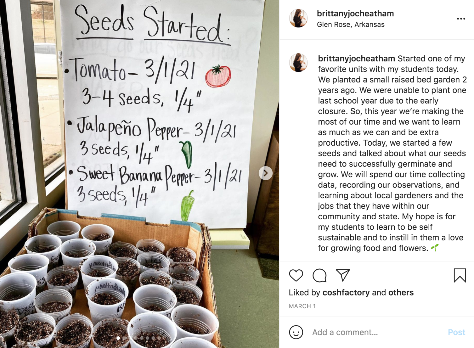 11 Unique Middle School Electives Teachers and Students will Love
