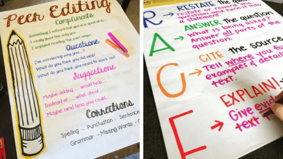 All the Best Writing Anchor Charts for Kids - WeAreTeachers