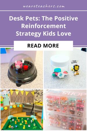 Desk Pets: The Positive Reinforcement Strategy Kids Love