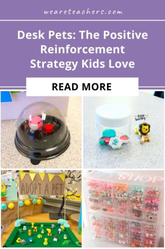 Desk Pets: The Positive Reinforcement Strategy Kids Love