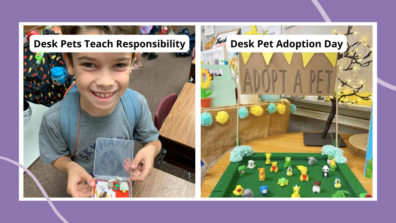 Desk Pets: The Positive Reinforcement Strategy Kids Love