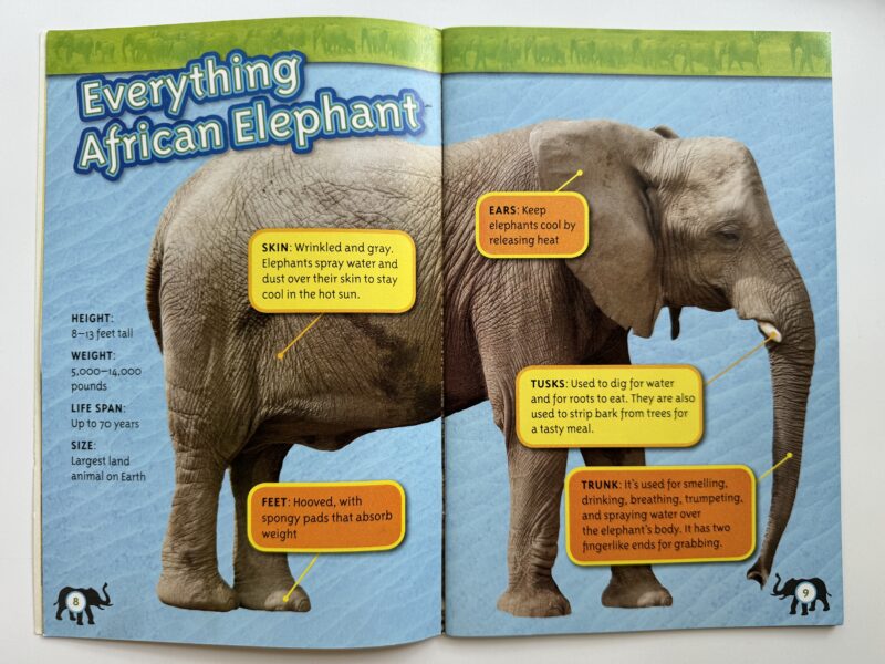 What Are Textual content Options? Examples and How To Train Them - Faberk