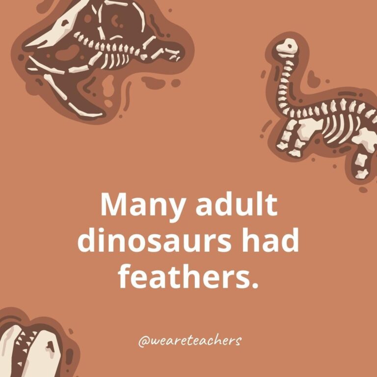 37 Incredible Dinosaur Facts for Kids
