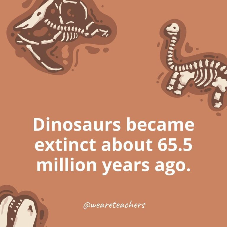 37 Incredible Dinosaur Facts for Kids
