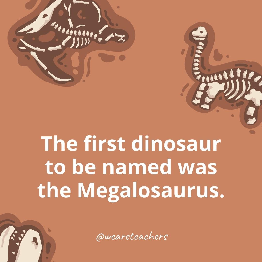 37 Incredible Dinosaur Facts for Kids