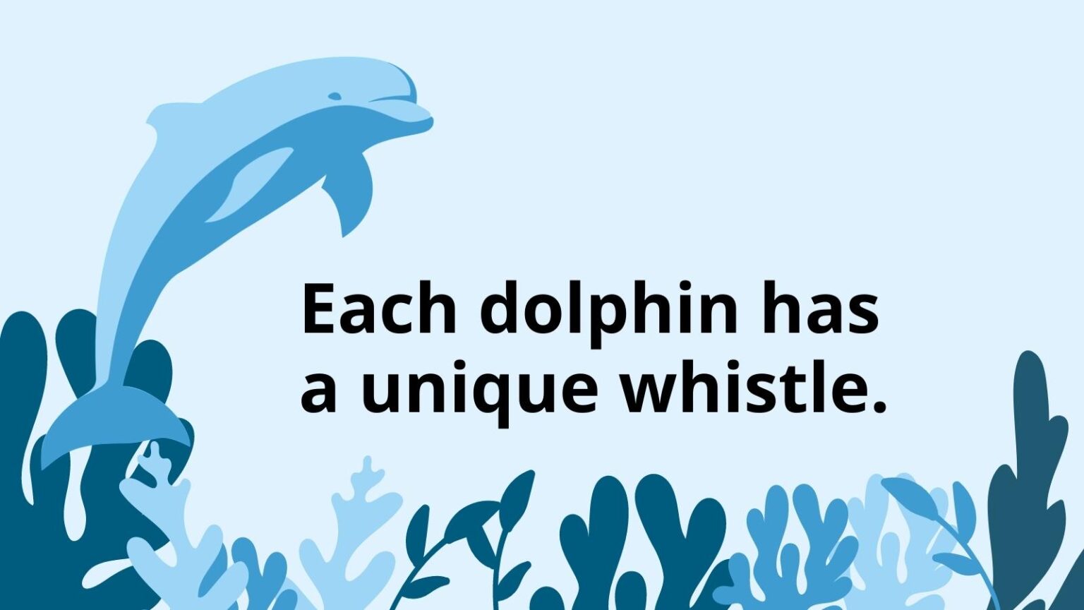 40 Dolphin Facts That Will Blow Your Mind