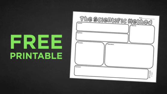 Free Printable: Scientific Method Graphic Organizer - We Are Teachers