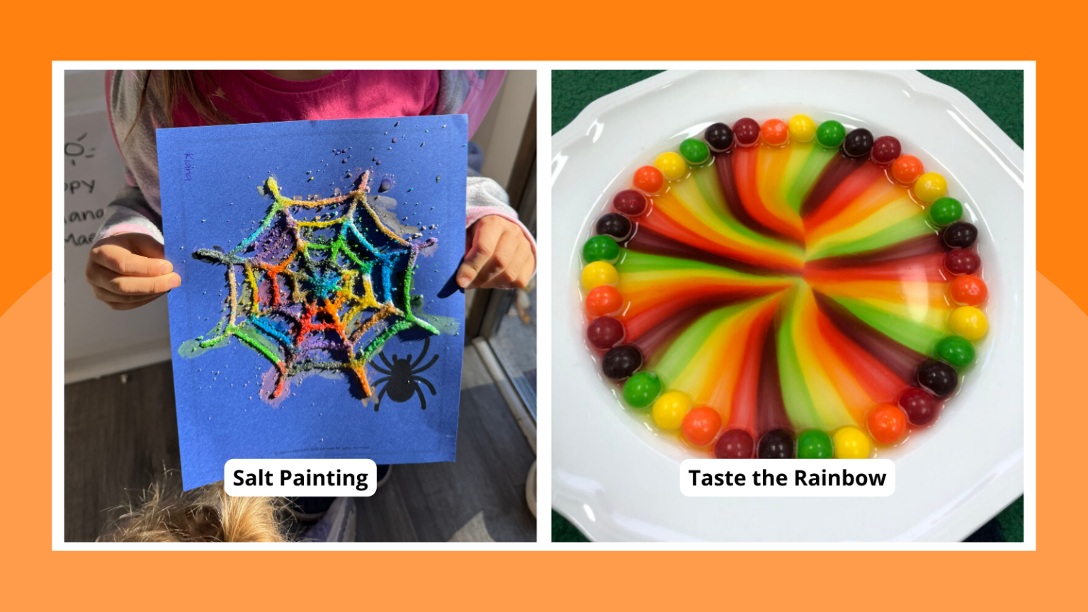 70+ Easy Science Experiments Using Materials You Already Have