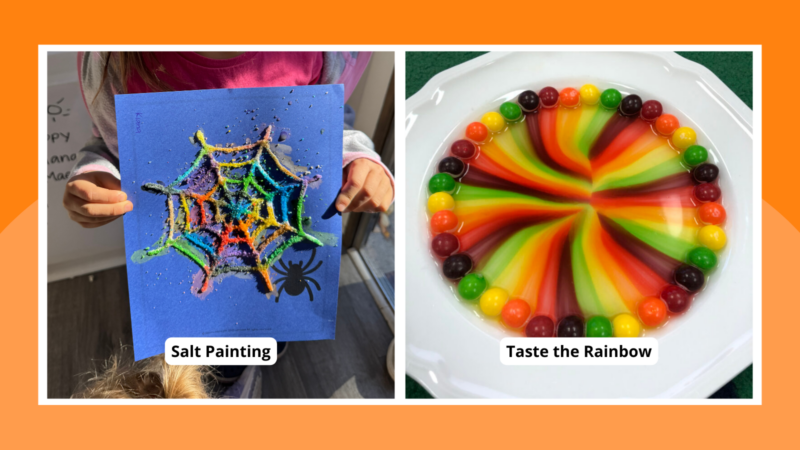 70+ Easy Science Experiments Using Materials You Already Have