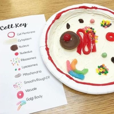 The Best Edible Science Experiments You'll Actually Want to Eat