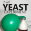 80 Best 8th Grade Science Fair Projects and Classroom Activities ...