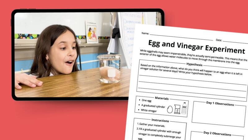 79 Best 8th Grade Science Fair Projects and Classroom Activities