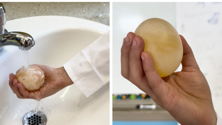 Egg and Vinegar Experiment: How-To Plus Free Recording Sheet