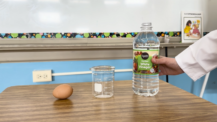Egg and Vinegar Experiment: How-To Plus Free Recording Sheet