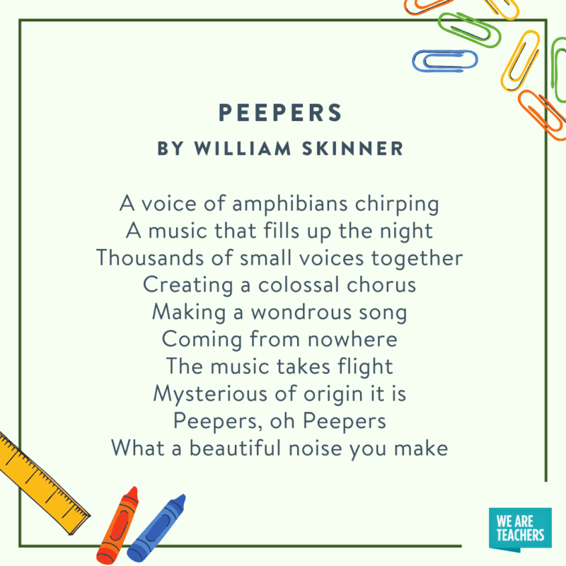 Thought-Provoking 5th Grade Poems To Share in Your Classroom
