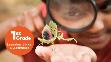 Best First Grade Websites & Activities for Learning at Home