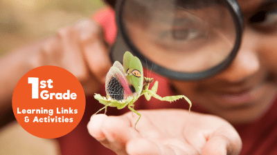 Best First Grade Websites & Activities for Learning at Home