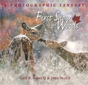 43 Best Winter Picture Books for the Classroom