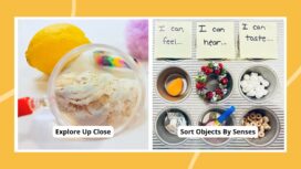 35 Engaging Five Senses Activities Young Learners Love