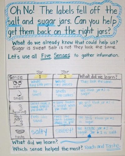 32 Engaging Five Senses Activities Young Learners Love