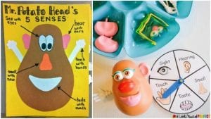 32 Engaging Five Senses Activities Young Learners Love