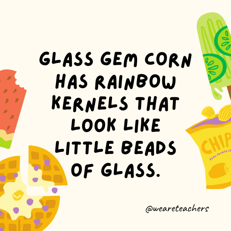 108 Fun Food Facts To Tempt Your Tastebuds