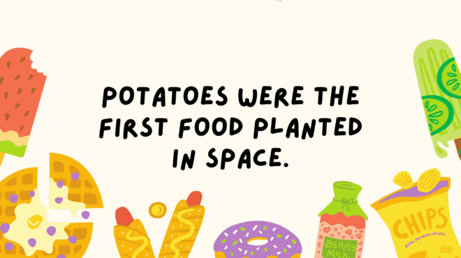 108 Fun Food Facts To Tempt Your Tastebuds