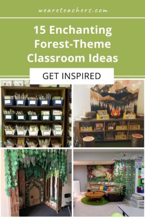15 Forest-Theme Classroom Ideas That Are Truly Enchanting