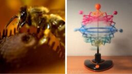 35 Resources For Free Science Videos For the Classroom And Beyond