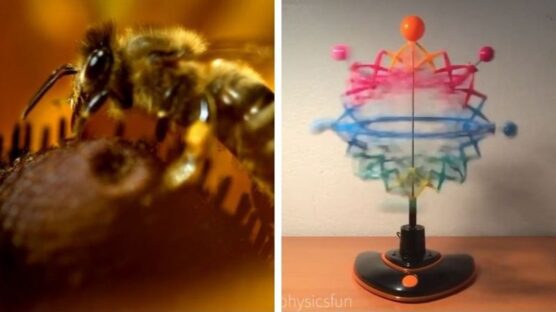 35 Resources For Free Science Videos For the Classroom And Beyond