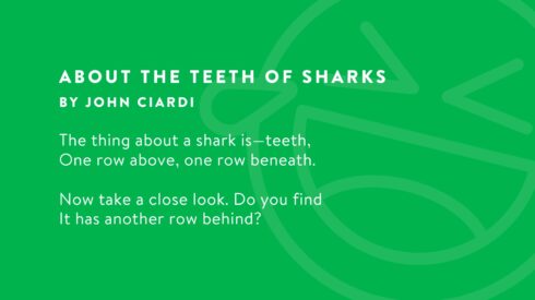 40 Hilariously Funny Poems To Read and Share