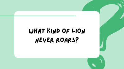 128 Best Funny Riddles With Answers To Make You Laugh
