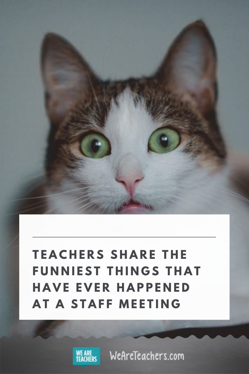 Funny Staff Meeting Stories From Teachers - WeAreTeachers