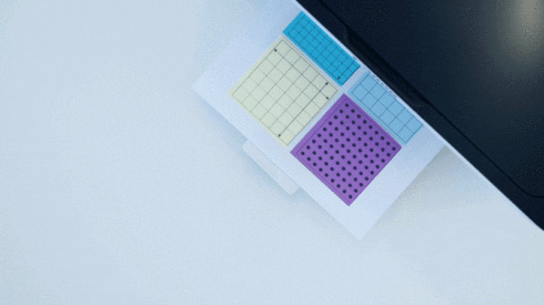 20 Graphing Activities For Kids That Really Raise the Bar - We Are Teachers