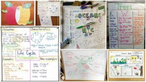 Graphic Organizers 101: Why and How To Use Them - We Are Teachers
