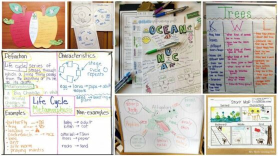 18 Smart Instructional Scaffolding Examples for Every Classroom