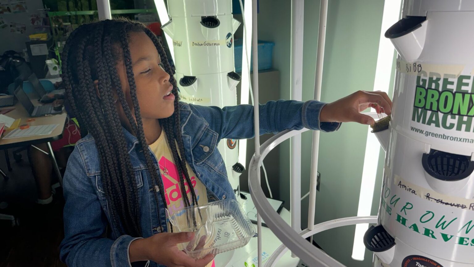 Teachers Love the Green Bronx Machine Curriculum