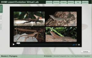 Best Virtual Lab Activities for the Classroom - WeAreTeachers