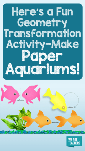 Geometry Transformation Activity: Transformation Aquariums