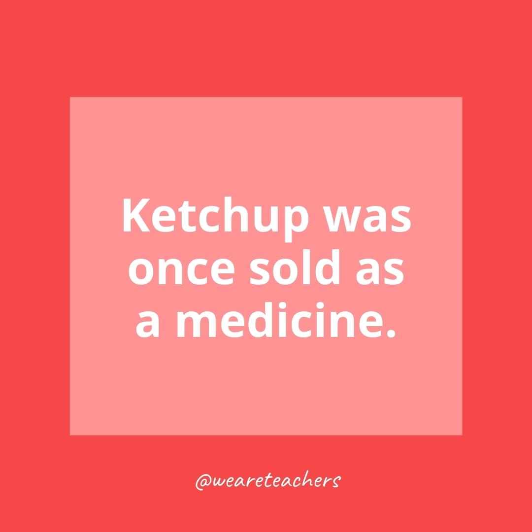 History Facts for Kids That Will Shock and Amaze Students