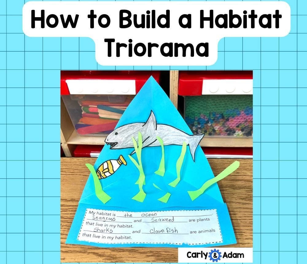 20 Wild Ways to Explore Animal Habitats With Kids