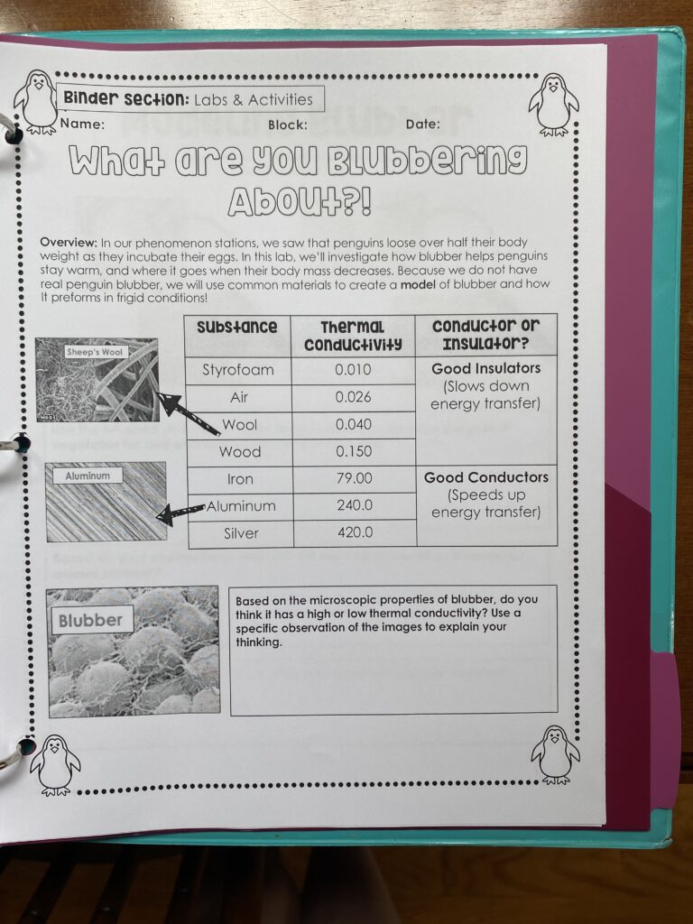 Interactive Notebook Alternatives: What I Tried (And What Won!)