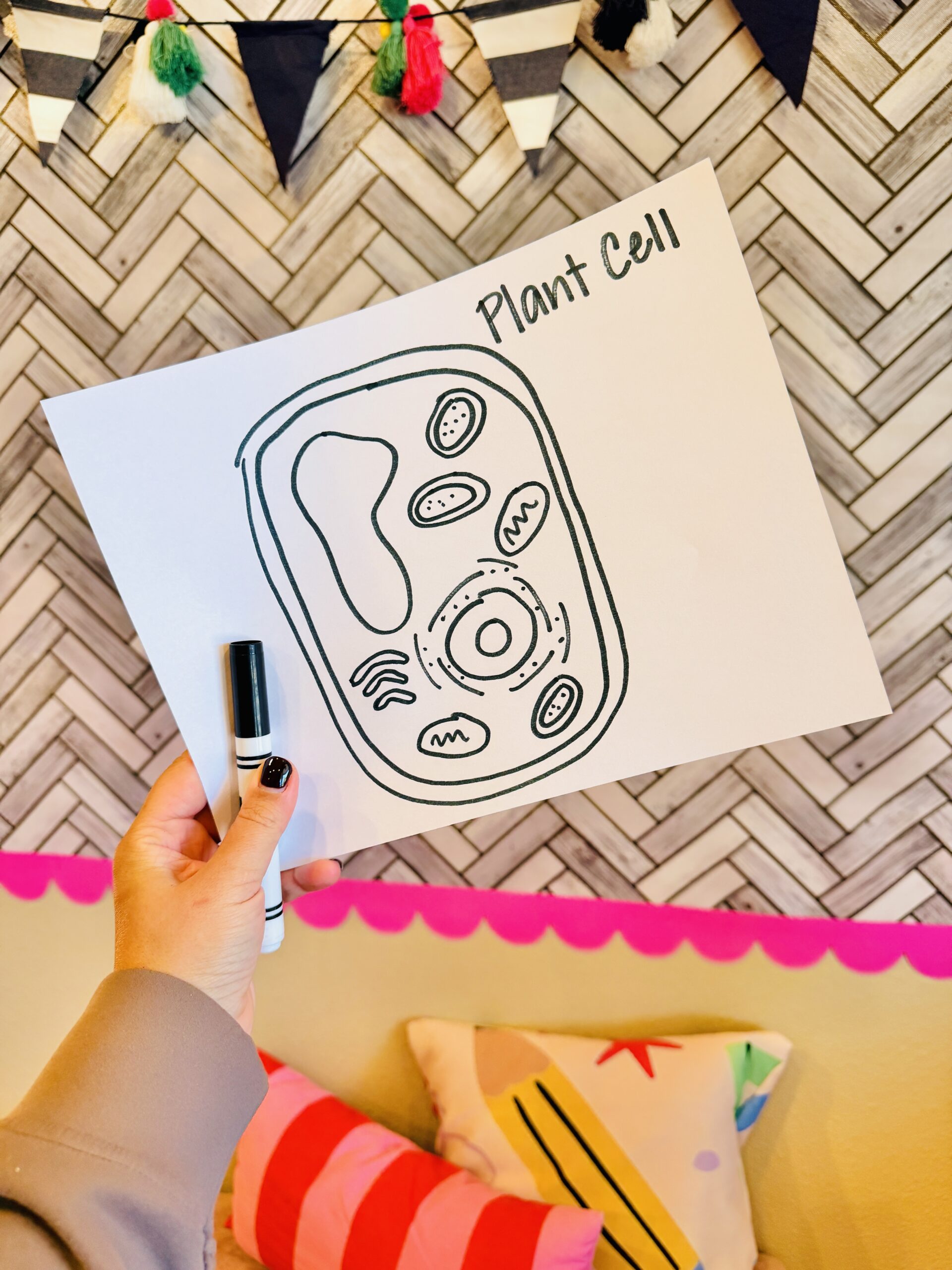 30 Creative Plant Cell Project Ideas To Try This Year