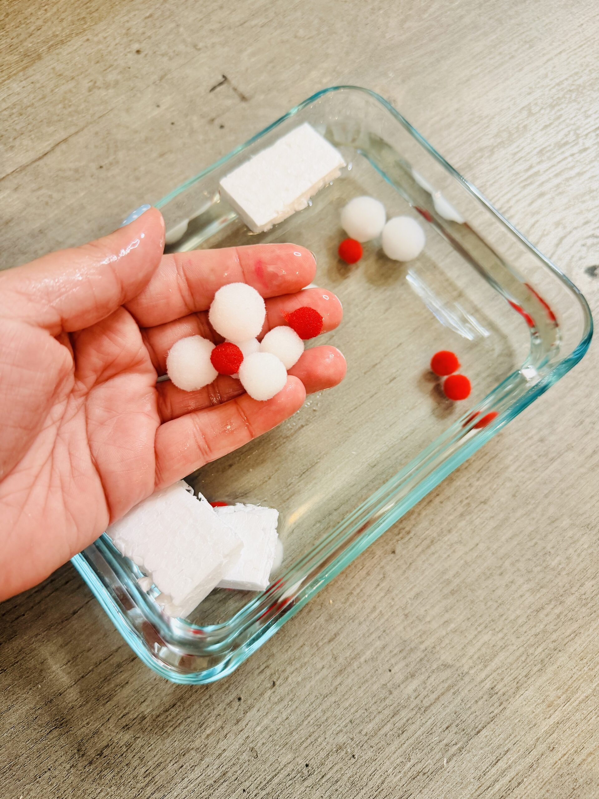 30 Hands-On Circulatory System Activities for Kids