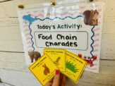 27 Fun Food Web and Food Chain Activities