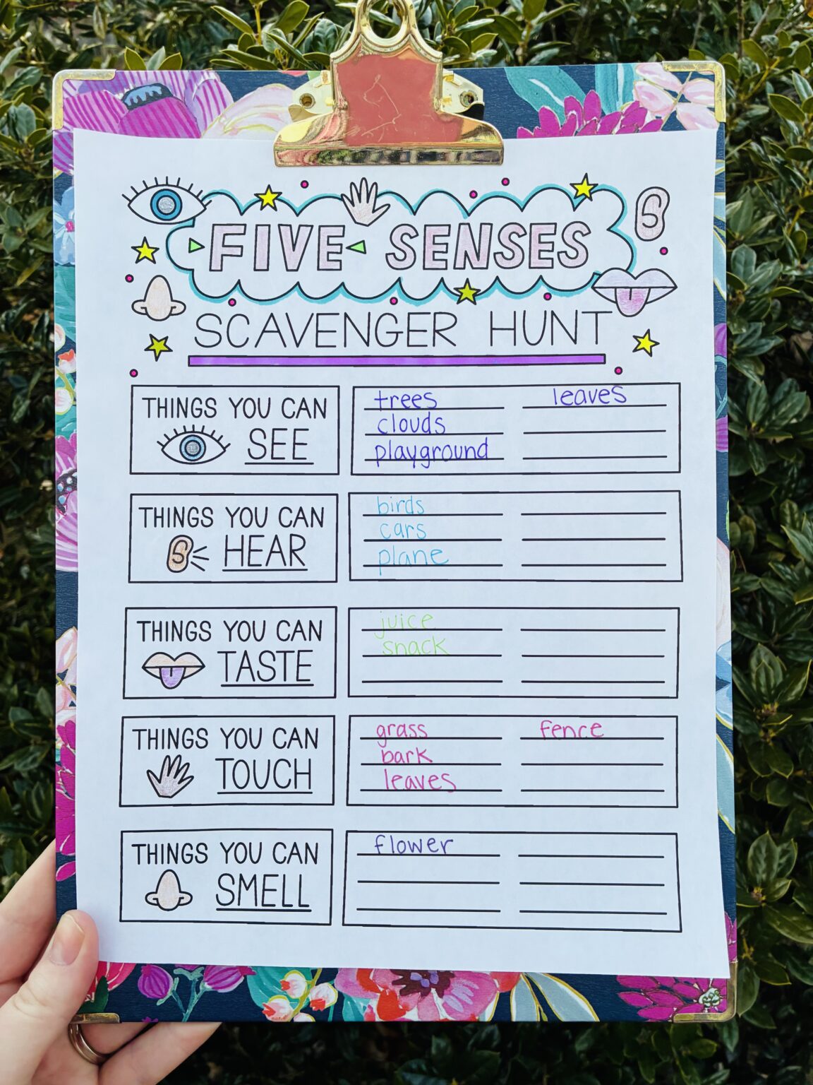 35 Engaging Five Senses Activities Young Learners Love