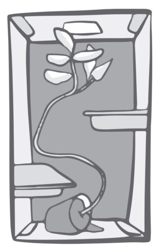 80 Best 8th Grade Science Fair Projects and Classroom Activities