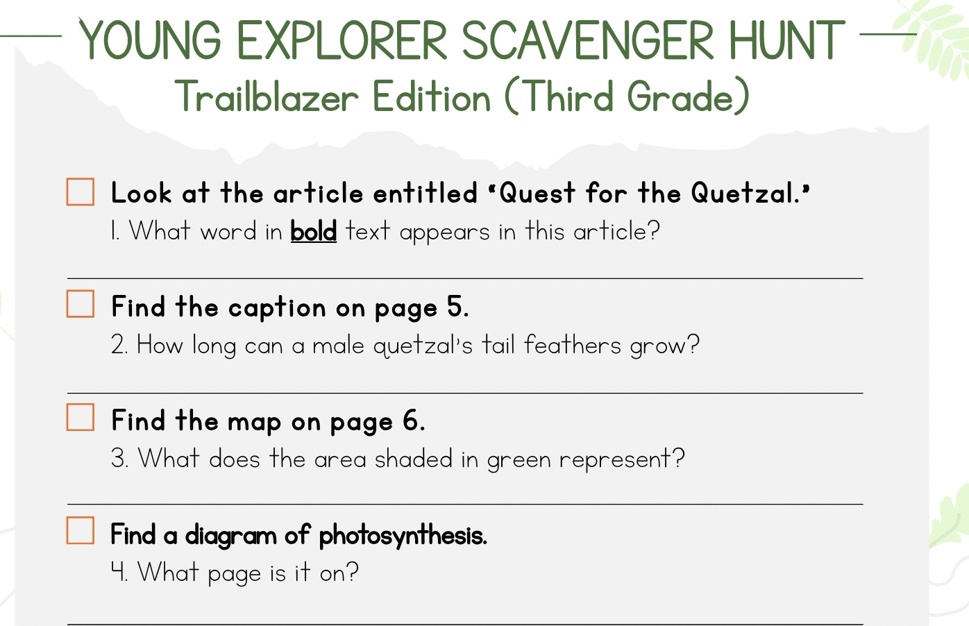 19 Unique 3rd Grade Reading Comprehension Activities